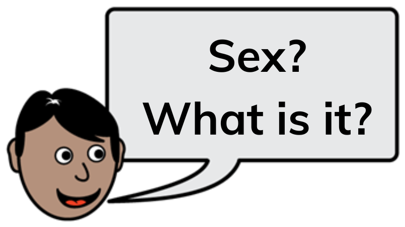 What Is Sex Healthy Respect